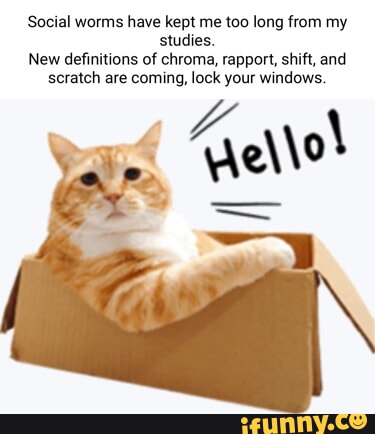 Rapport memes. Best Collection of funny Rapport pictures on iFunny