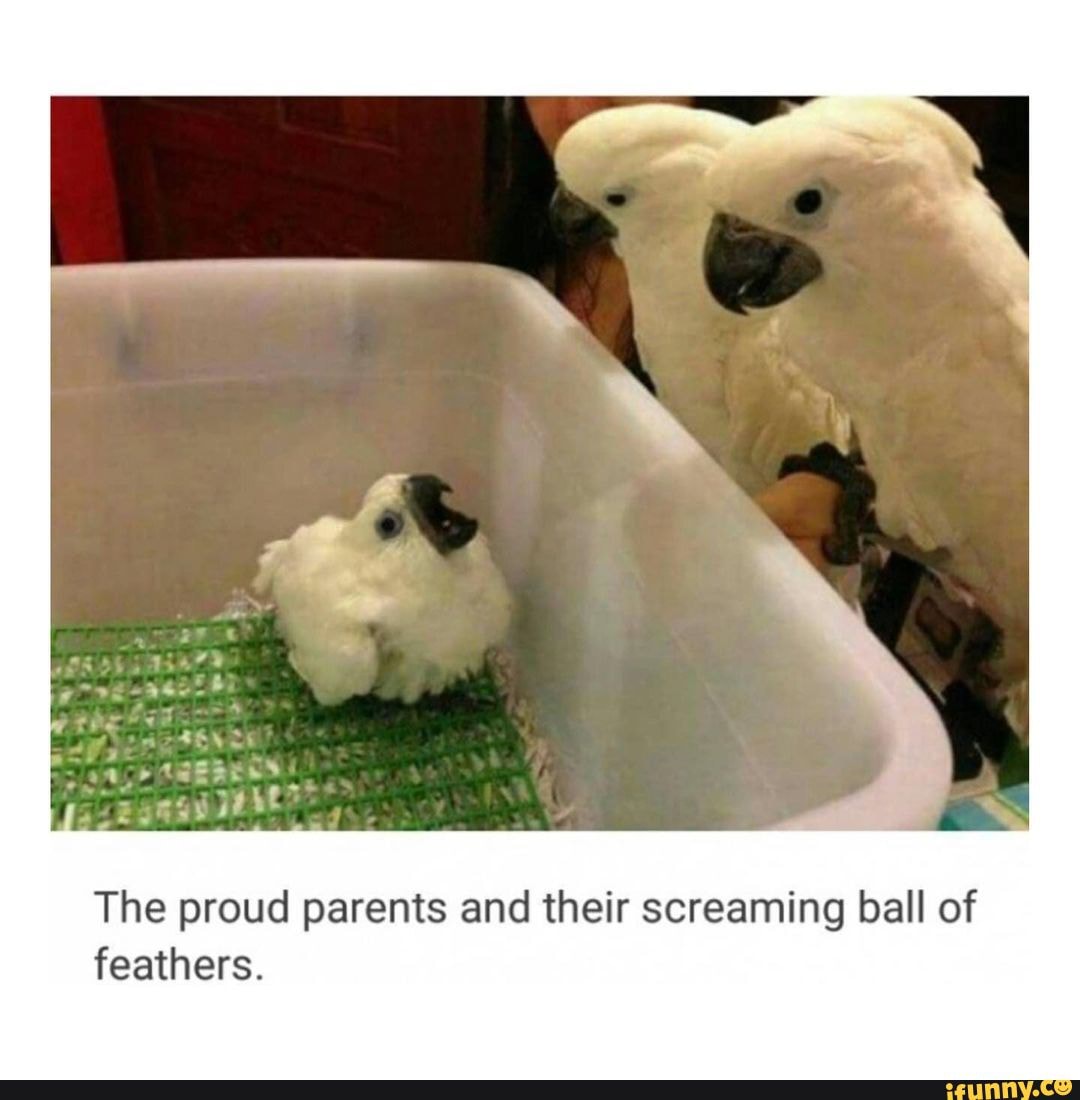 In JAPAN, BROKEN OBJECTS ane OFTEN REPAIRED WITH GoLD. THE FLAW ás SEEN ...