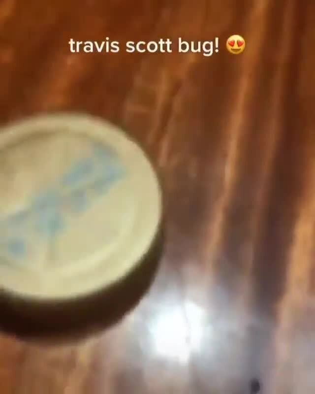 Travis scott bug! - iFunny :)