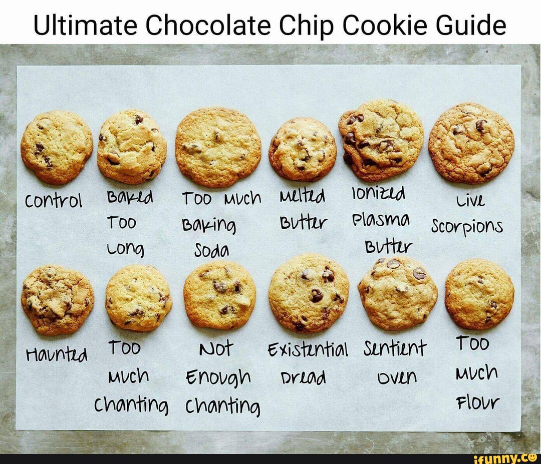 Ultimate Chocolate Chip Cookie Guide conivol Too Too Plasma Seorpions ...