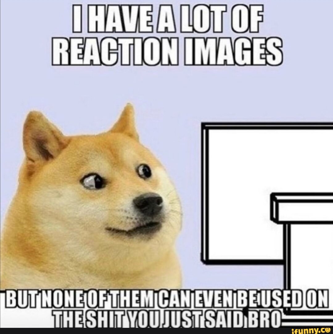 HAVE ALOT OF REACTION IMAGES BUST HONE OHT HEMIGANEVENIBEUS ON - iFunny