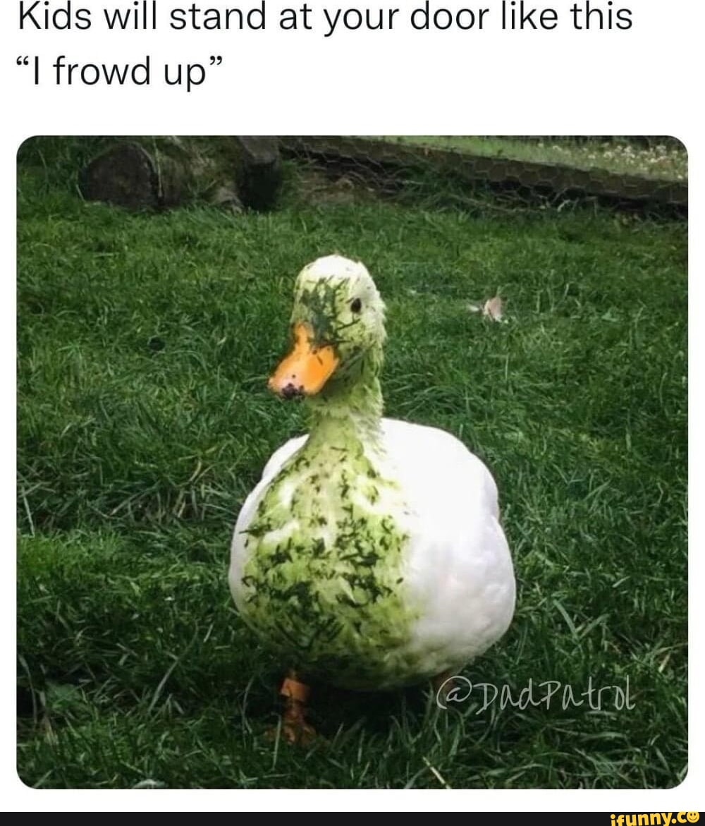 Frowd memes. Best Collection of funny Frowd pictures on iFunny