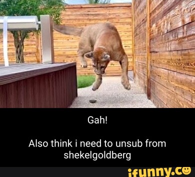 Unsub memes. Best Collection of funny Unsub pictures on iFunny