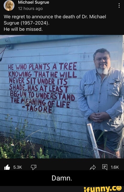 The first taxidermy walrus was much larger and smoother than a live ...