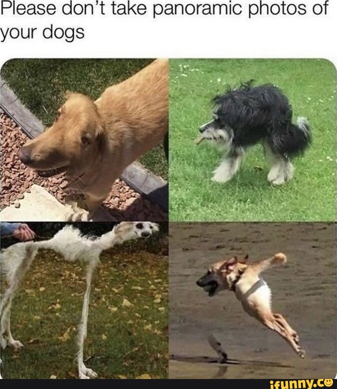 Panoramic memes. Best Collection of funny Panoramic pictures on iFunny