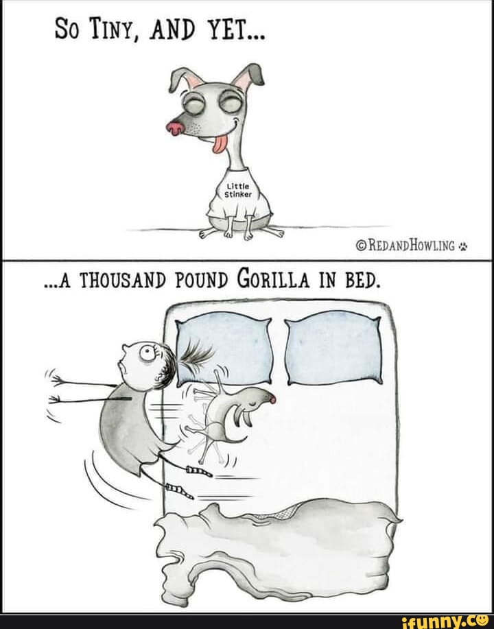 The scientists watching me wake up from the simulation after I brutally ...