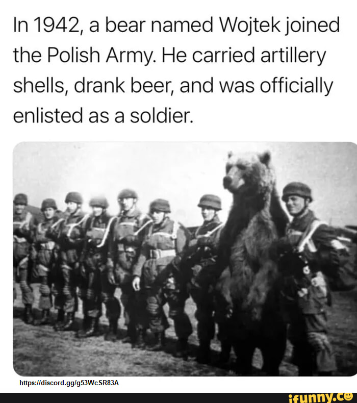 In 1942, a bear named Wojtek joined the Polish Army. He carried ...