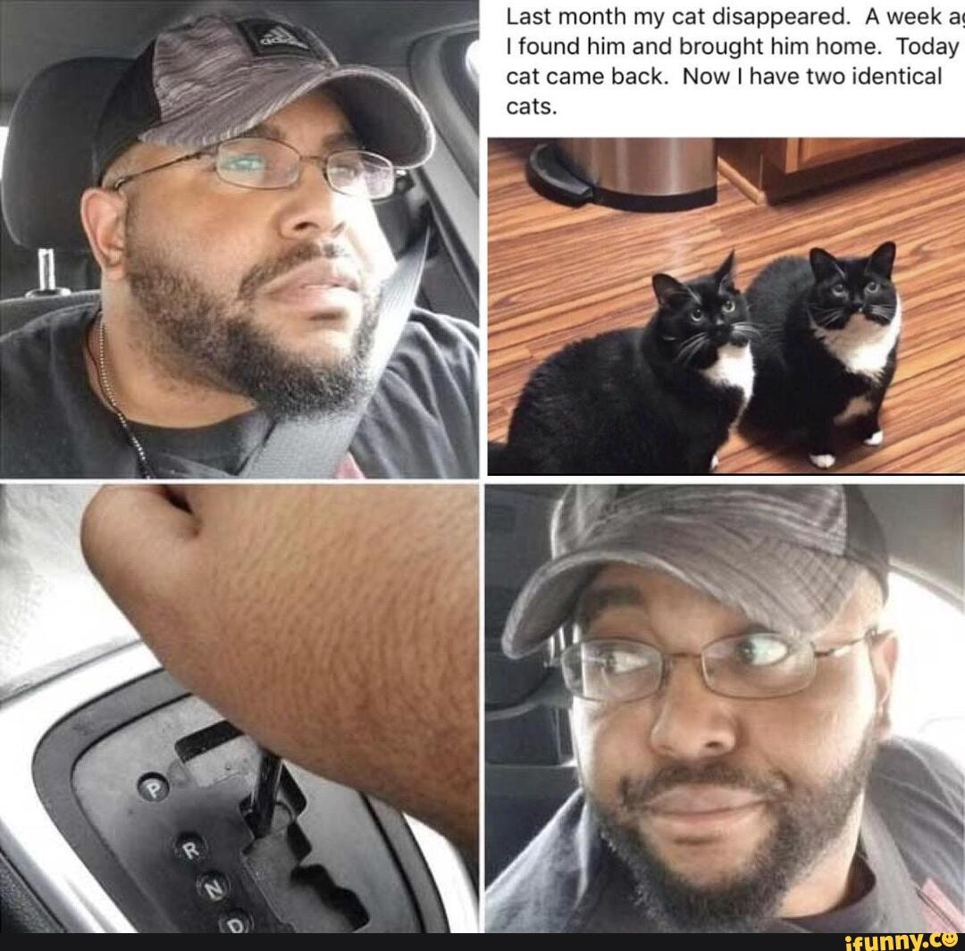 Last month my cat disappeared. A week a I found him and brought him ...