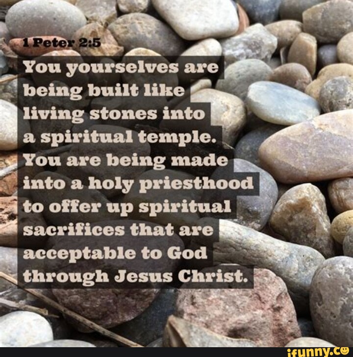 You are "4 being built like living stones into a spiritual temple. You ...