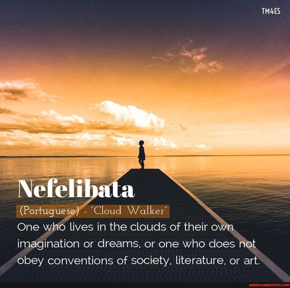Nefelibata (Portuguese) "Cloud Walker' One who lives in the clouds of their own imagination or ...