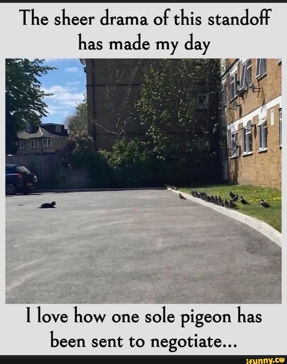 Negotiation memes. Best Collection of funny Negotiation pictures on iFunny
