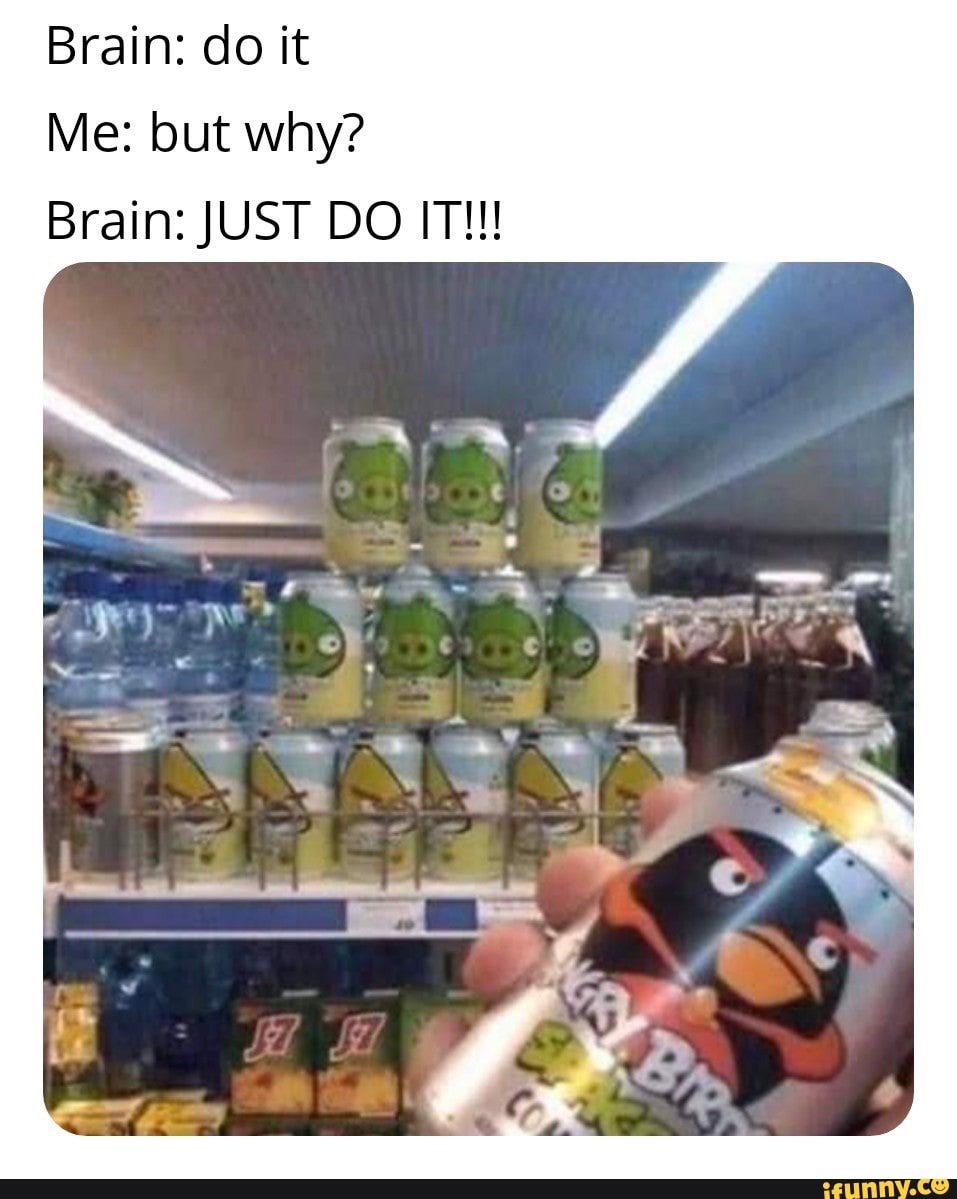 Brain: do it Me: but why? Brain: JUST DO IT!!! - iFunny