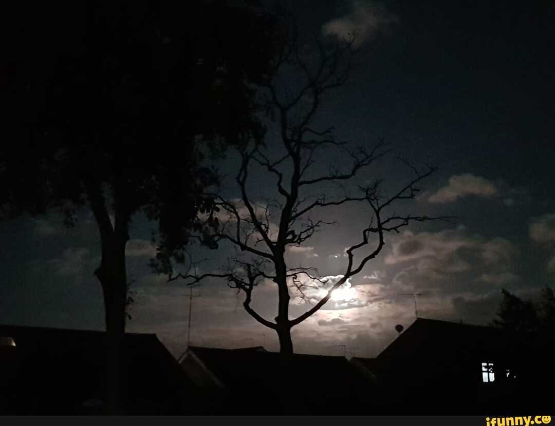 Dark_night memes. Best Collection of funny Dark_night pictures on iFunny