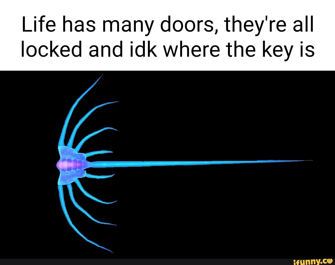 Poached memes. Best Collection of funny Poached pictures on iFunny