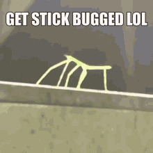 GET STICK BUGGED LOL - America’s best pics and videos