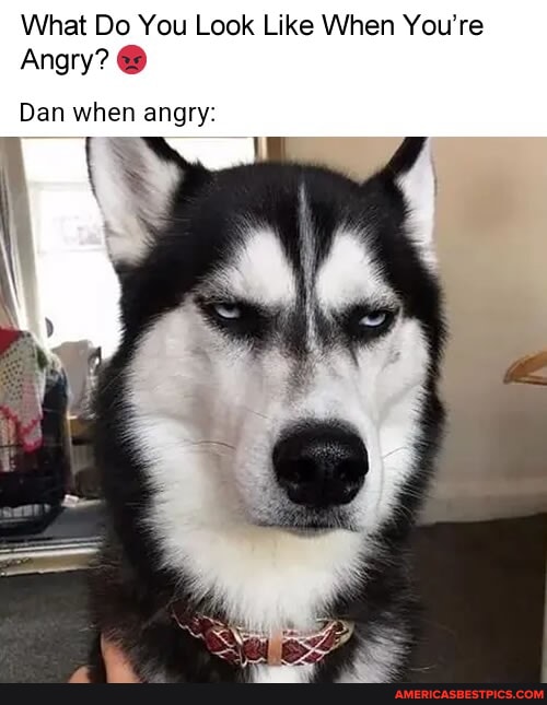 What Do You Look Like When You're Angry? @ Dan when angry: - America’s ...