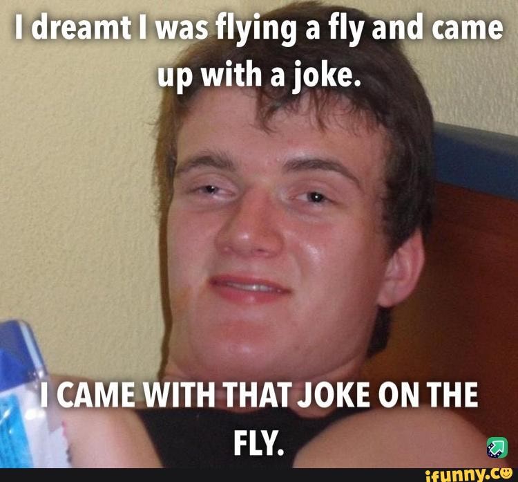 Dream - dreamt was flying a fly and came up with a joke. CAME WITH THAT ...
