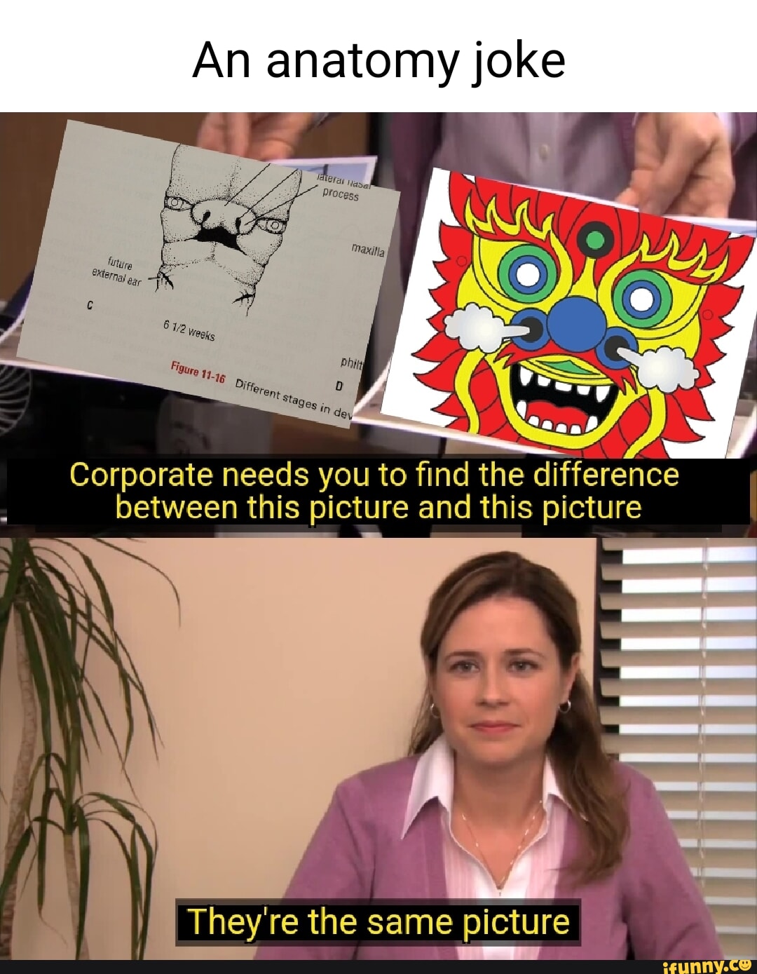 Anatomy memes. Best Collection of funny Anatomy pictures on iFunny