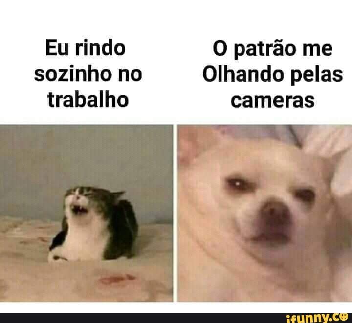 Eu rindo O patrão me sozinho no Olhando pelas trabalho cameras - iFunny ...
