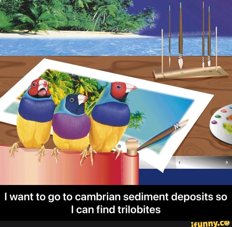 Sediment memes. Best Collection of funny Sediment pictures on iFunny