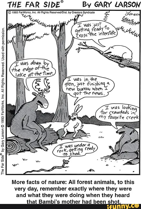 Burrow memes. Best Collection of funny Burrow pictures on iFunny