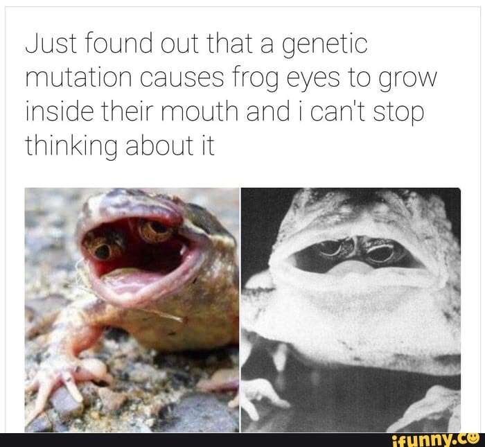 Just found out that a genetic mutation causes frog eyes to grow inside ...