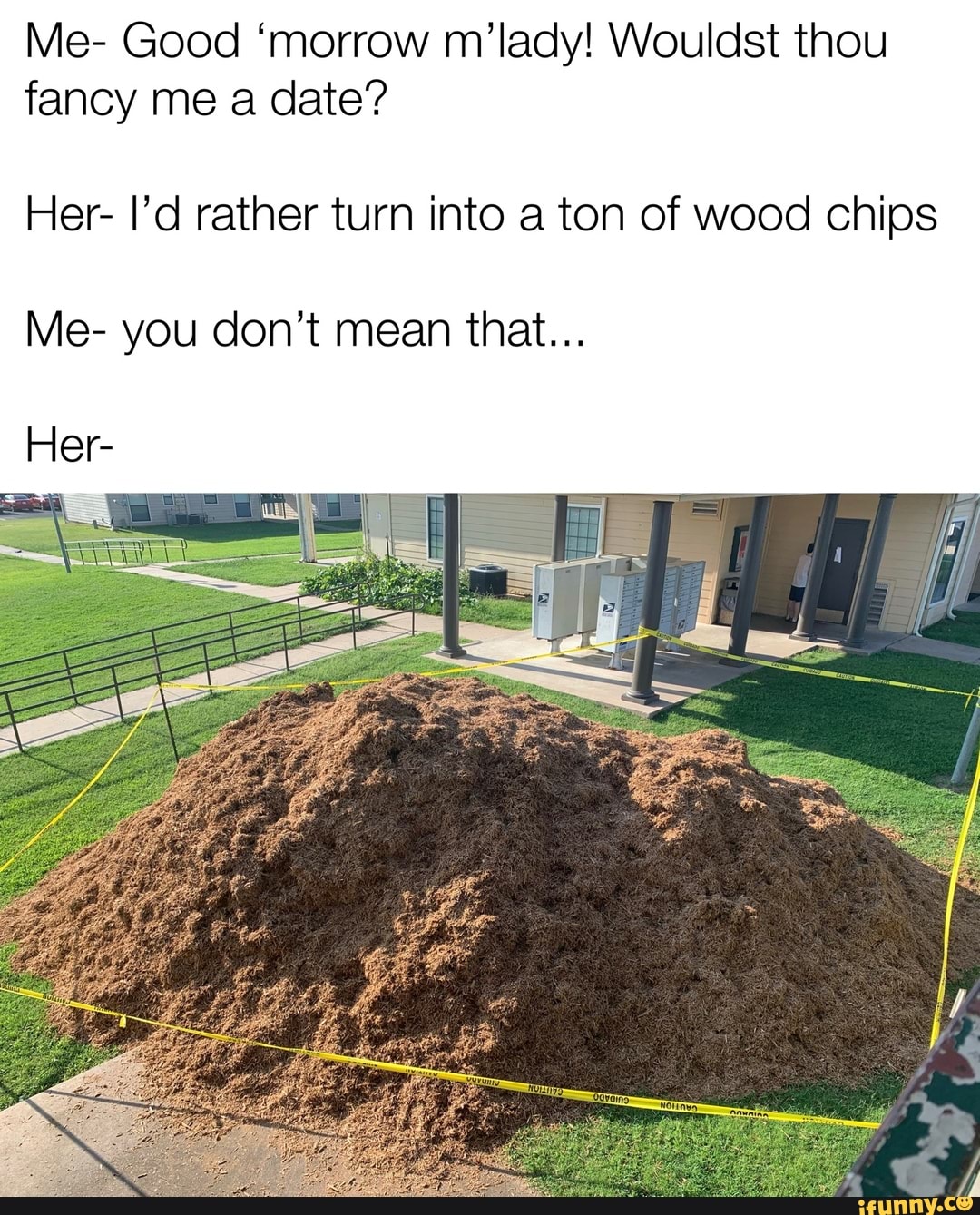 Me- Good 'morrow m'lady! Wouldst thou fancy me a date? Her- I'd rather ...