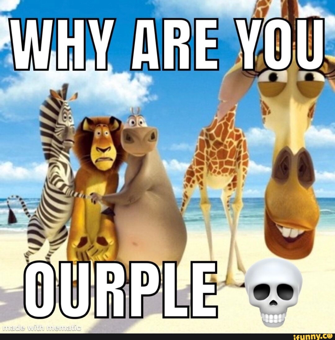 Hy memes. Best Collection of funny Hy pictures on iFunny