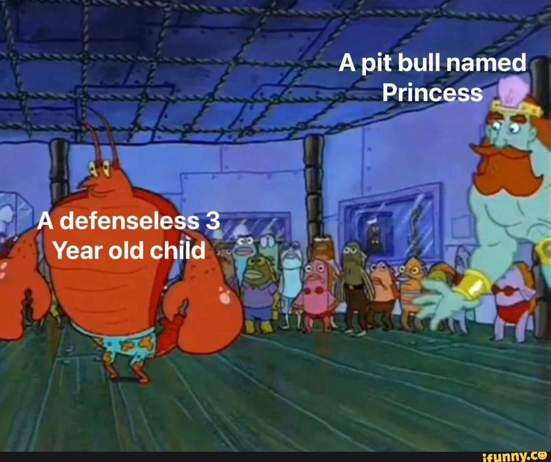 A pit bull named Princess A defenseless 3 Year old child - iFunny