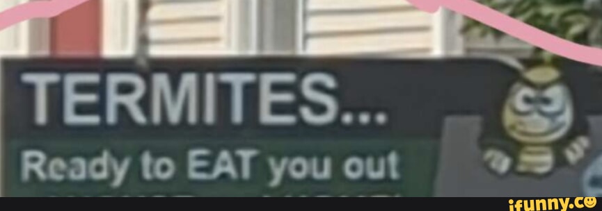 SS TERMITES... Ready to EAT you out - iFunny
