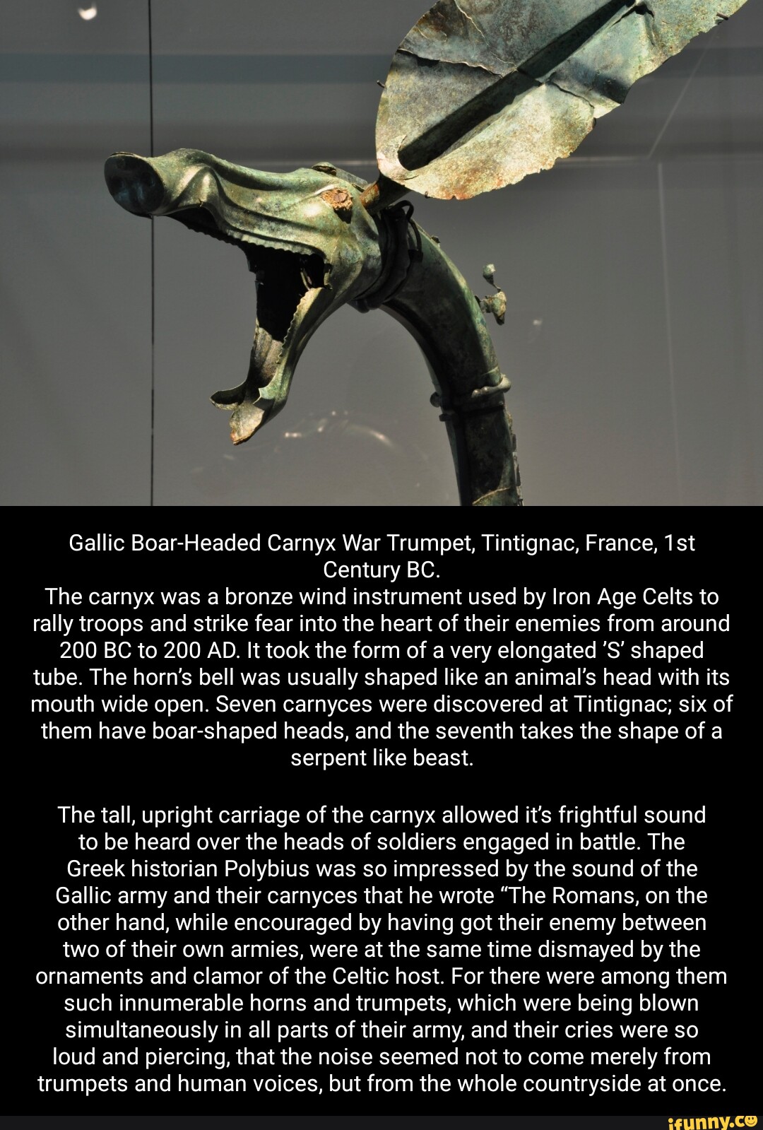 Orchestra Instrument Memes