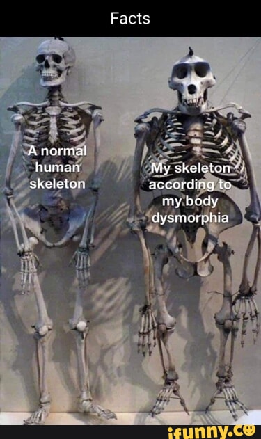 Anormal Facts human My skeletoa skeleton aceording to my body ...