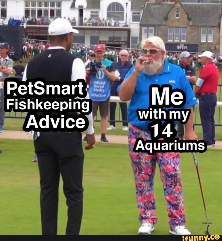 Fishkeeping memes. Best Collection of funny Fishkeeping pictures on iFunny