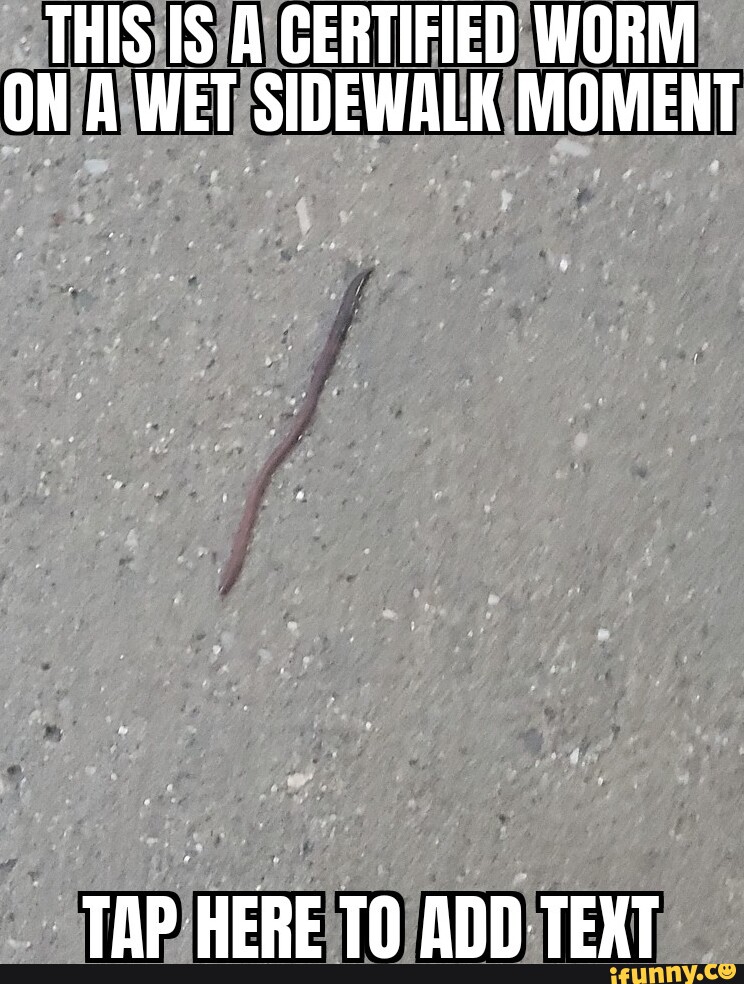 THIS A CERTIFIED WORM ON A WET SIDEWALK MOMENT TAP HERE TO ADD TEXT ...
