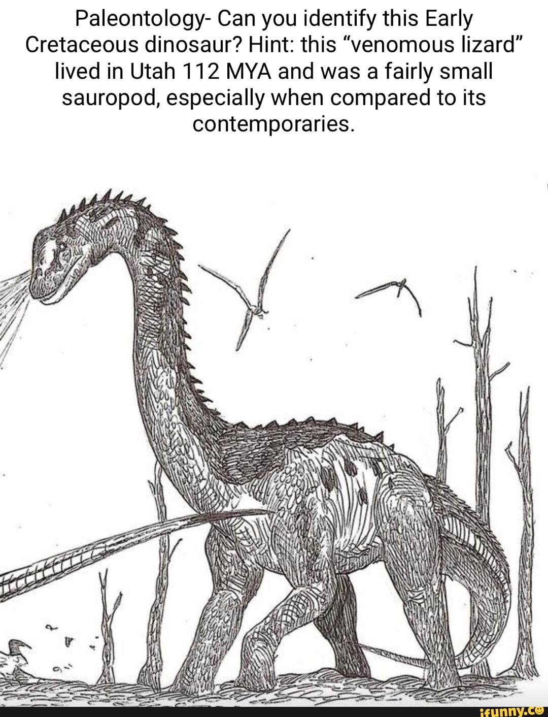 Paleontology- Can you identify this Early Cretaceous dinosaur? Hint ...