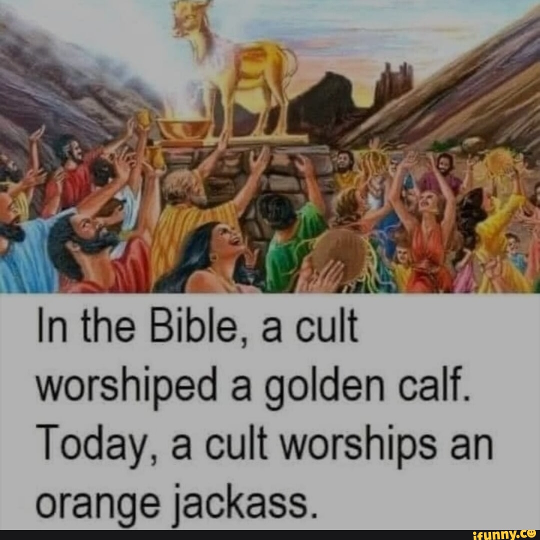 Jackass memes. Best Collection of funny Jackass pictures on iFunny