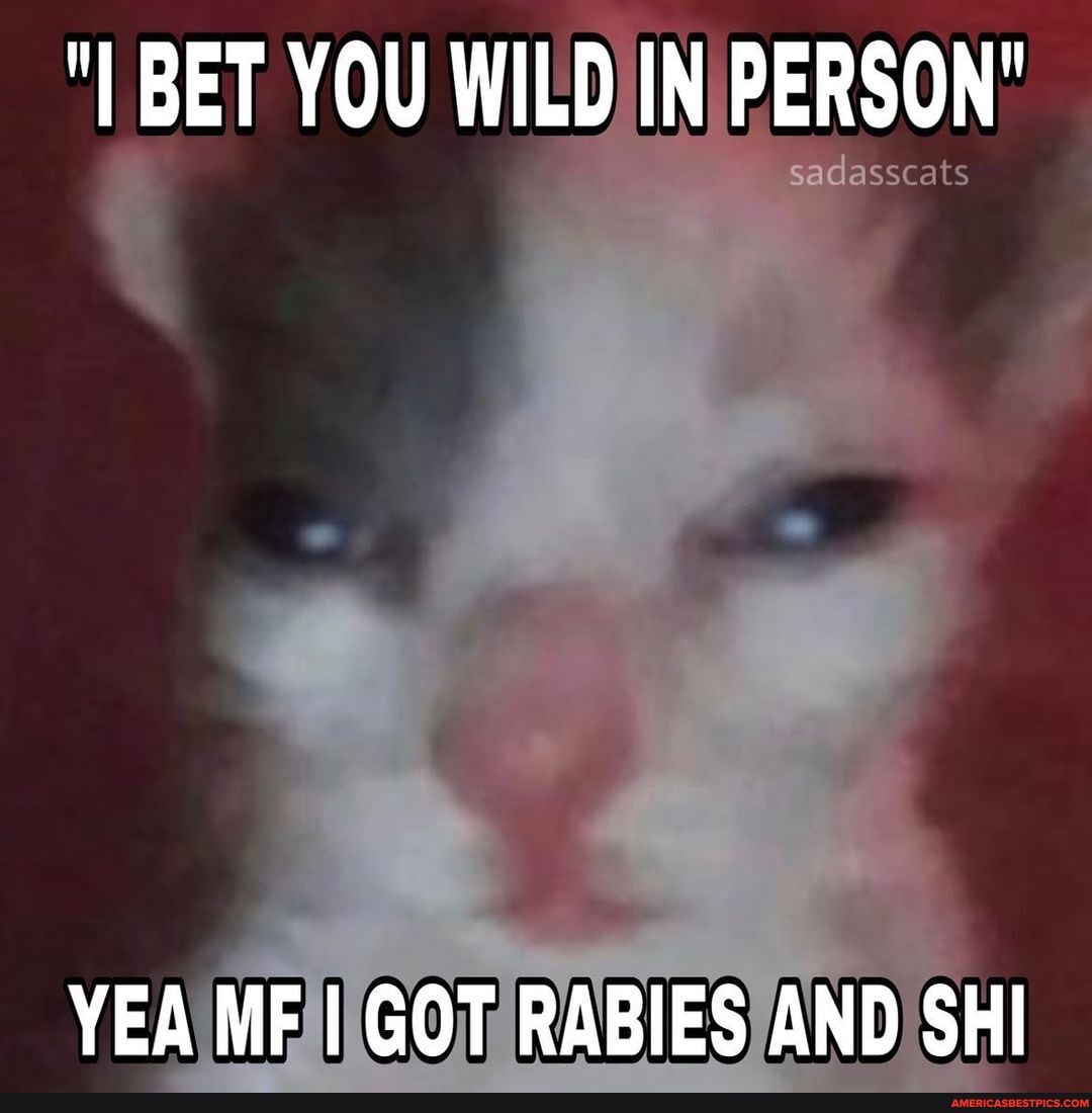 Like a wild animal - - - #meme #memes #cat #cats #catmeme #catmemes # ...