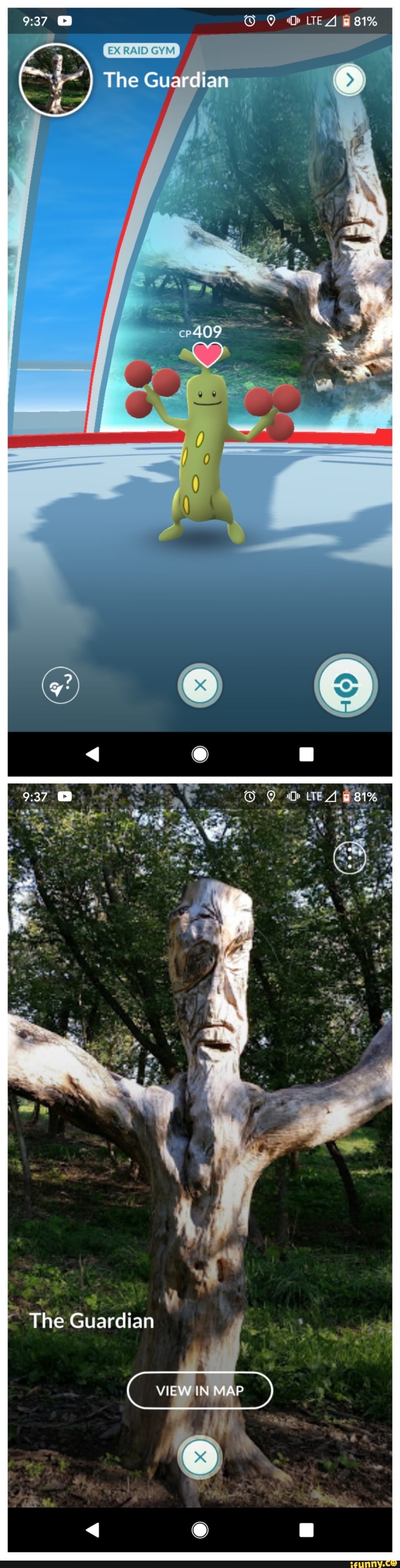 81% The Guardian 81% The Guardian VIEW IN MAP - iFunny