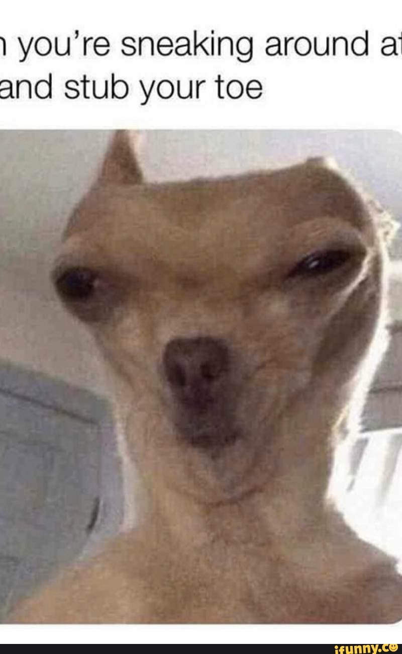 You're sneaking around a and stub your toe - iFunny