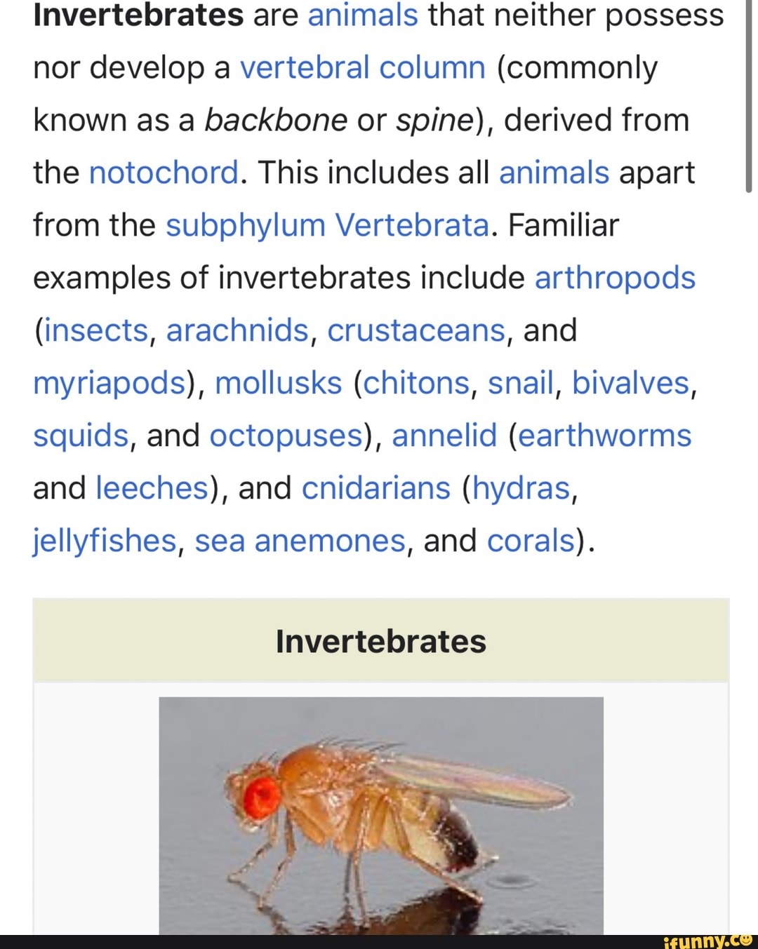 Invertebrates are animals that neither possess nor develop a vertebral ...
