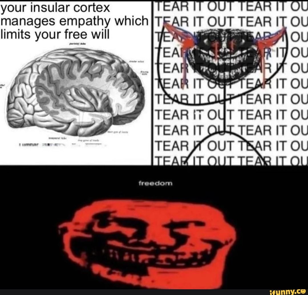 Your insular cortex TEAR OUT TEAR OU manages empathy which OUT JEAR OU ...