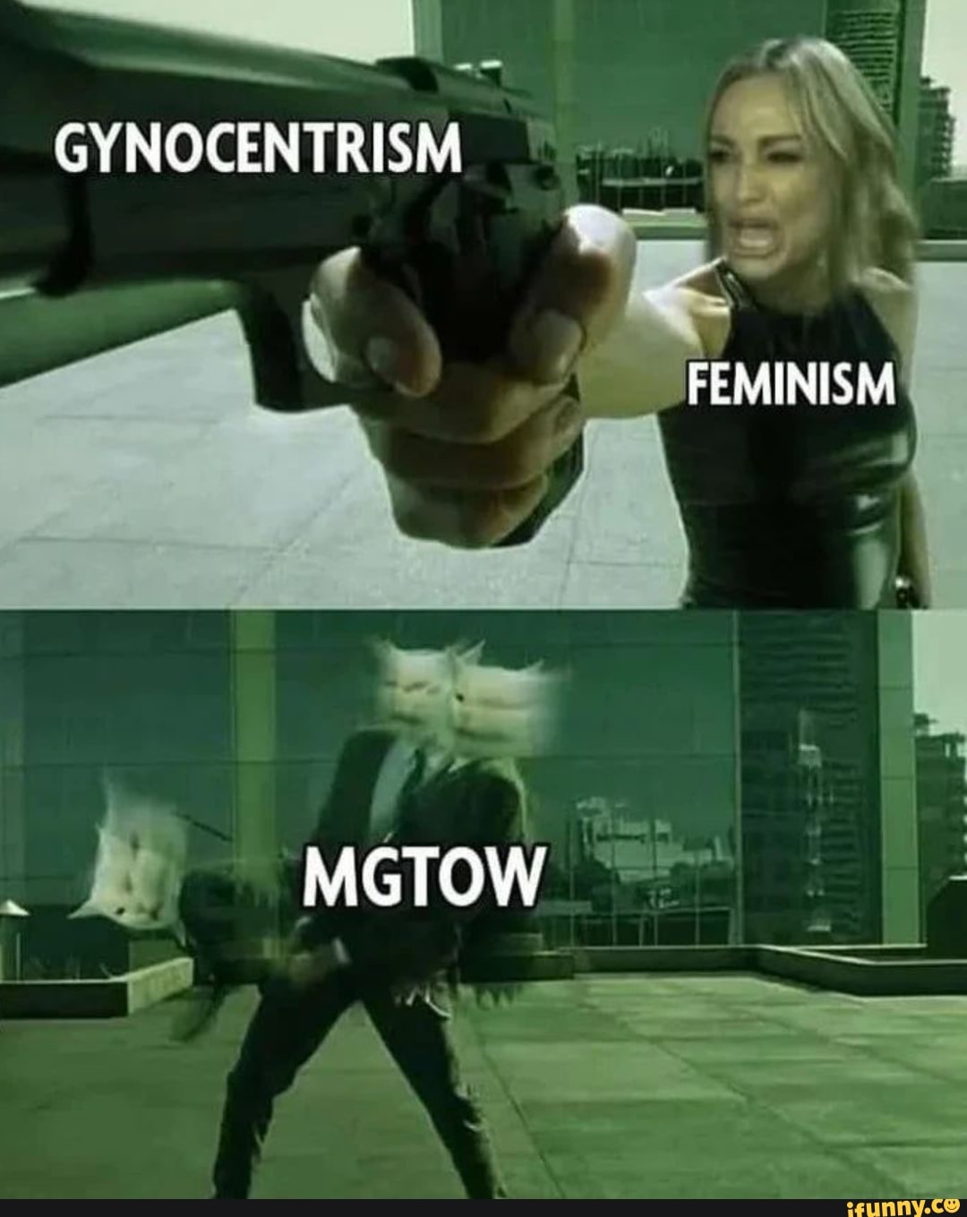 Gynocentrism memes. Best Collection of funny Gynocentrism pictures on ...