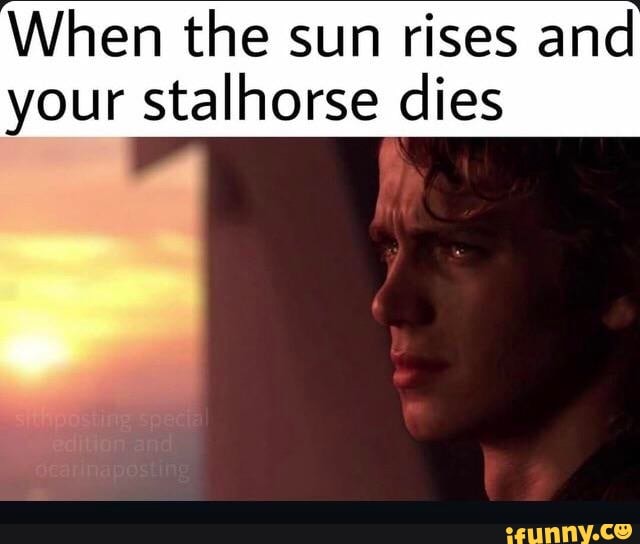 Stalhorse memes. Best Collection of funny Stalhorse pictures on iFunny