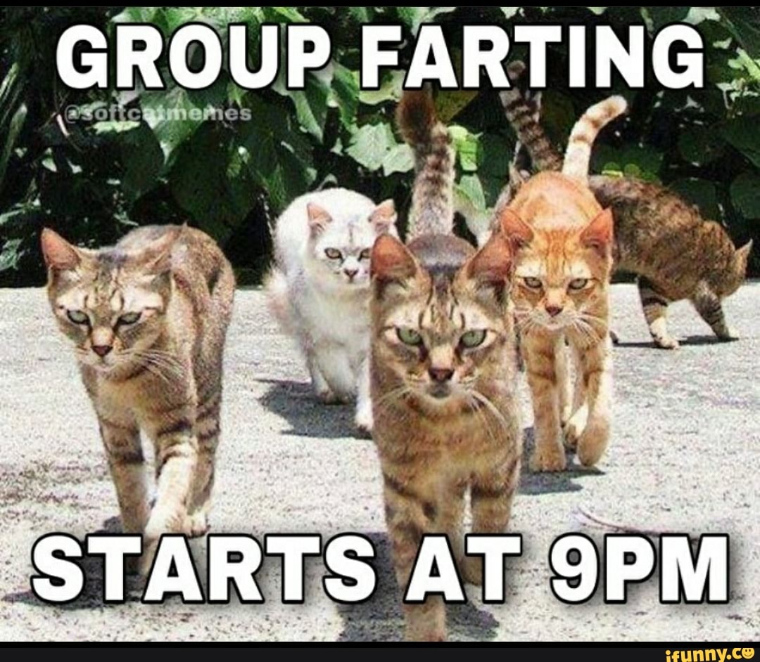 GROUP FARTING % afe STARTS AT - iFunny