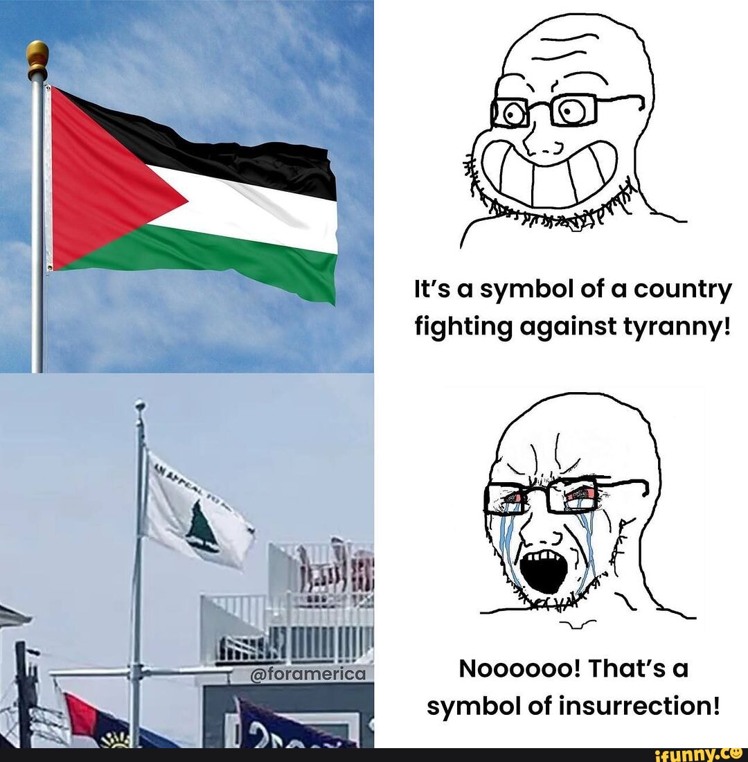 It's a symbol of a country fighting against tyranny! halt @foramericd ...