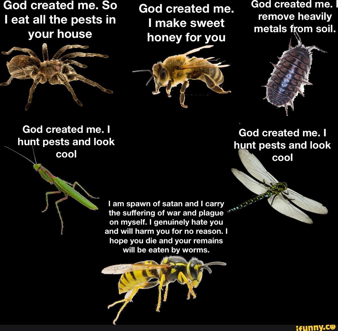 God created me. So God created me. God created me. I I eat all the ...