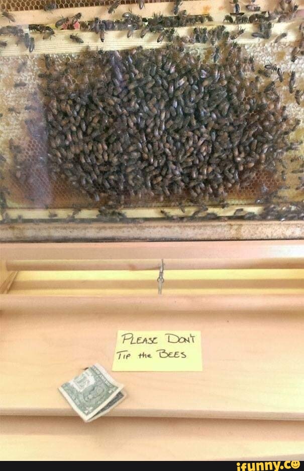 Fun In Detrort in the 1930s, a baby fell from a high window anc landed ...