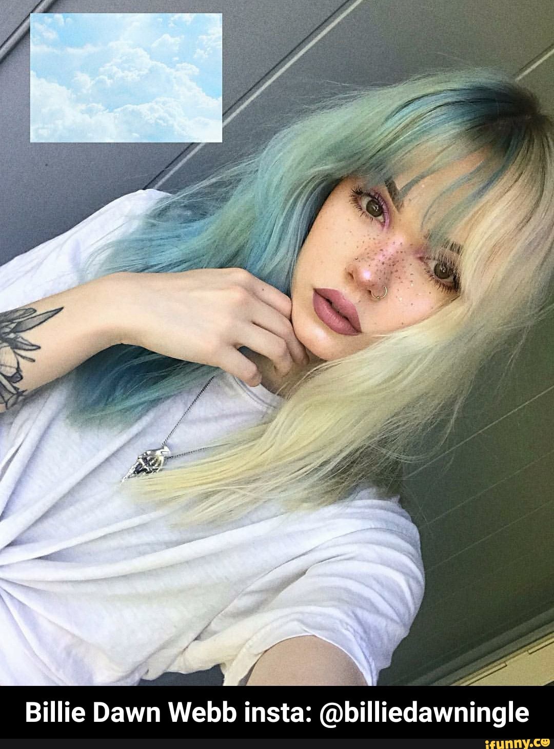 Dawn Webb's Instagram, Twitter & Facebook on IDCrawl