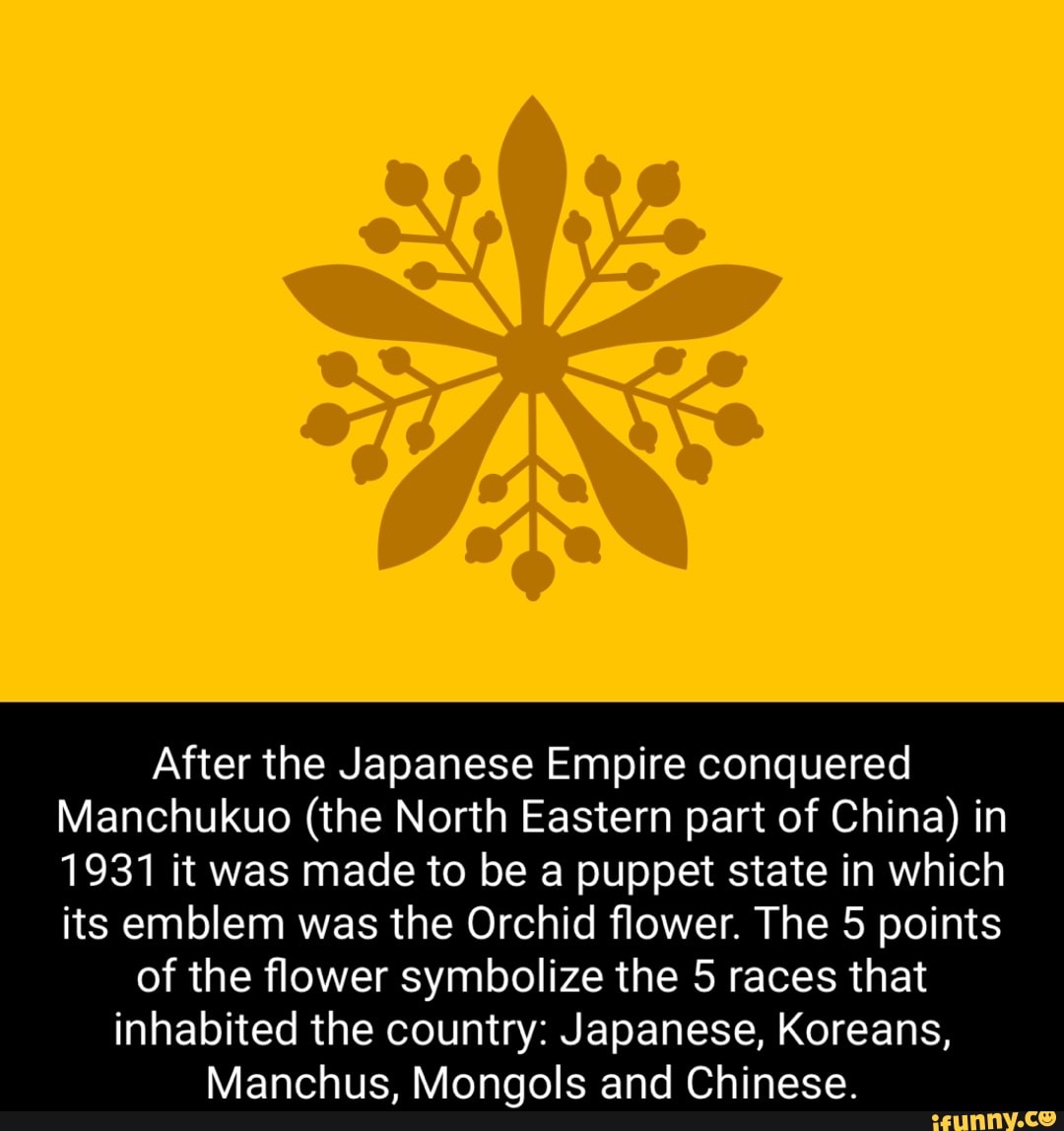 Manchuria Flag 1931