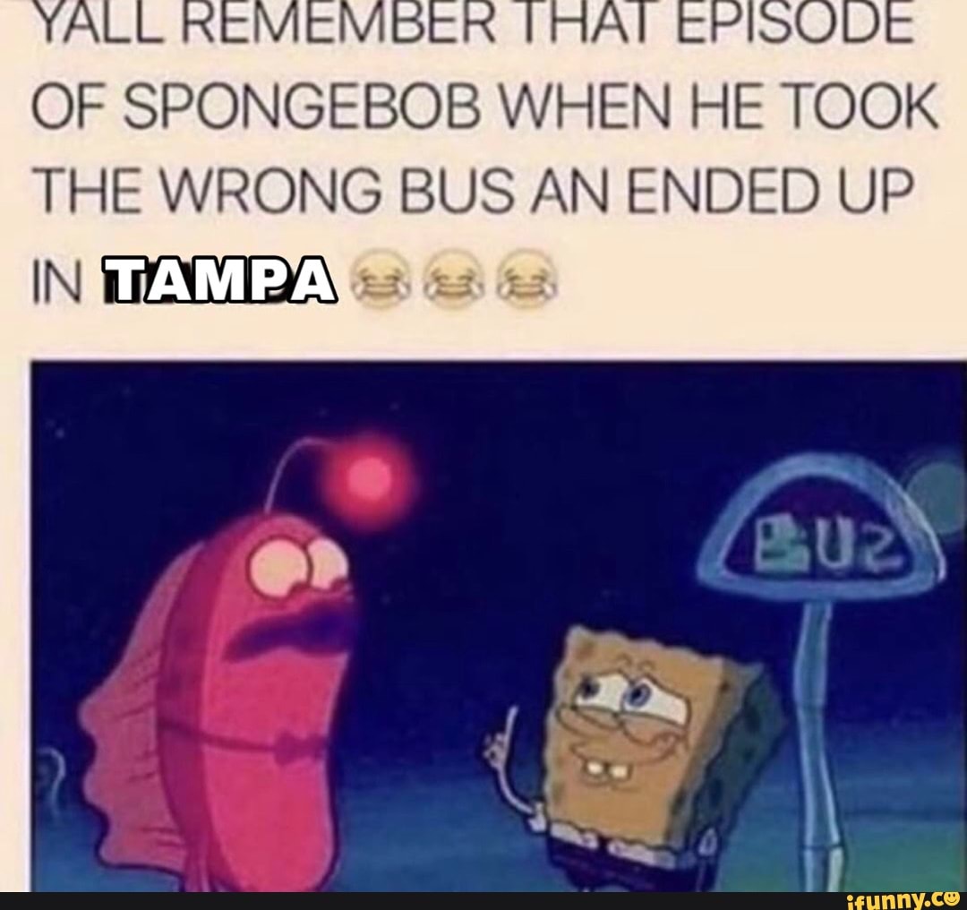 OF SPONGEBOB WHEN HE TOOK THE WRONG BUS AN ENDED UP IN TAMPA Lav - iFunny